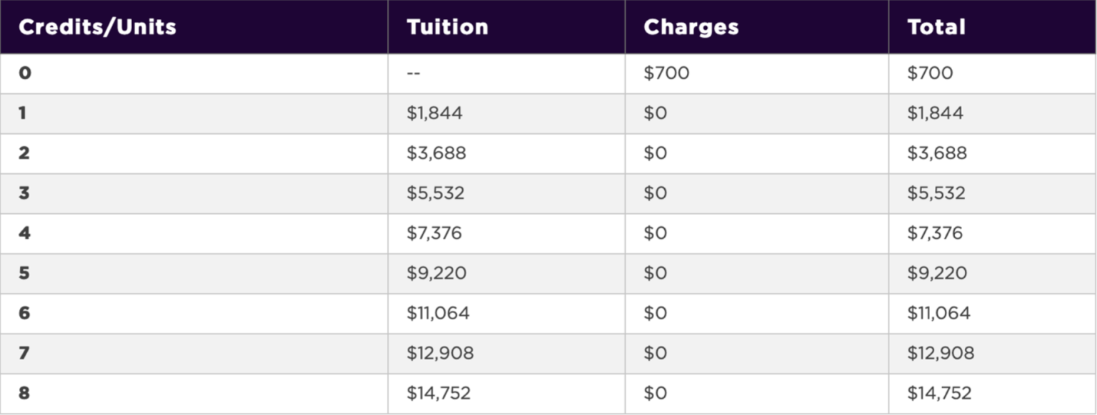 NYU Summer Program: All You Need To Know | Aralia Education