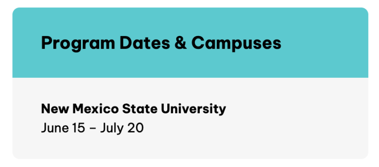 Everything You Need To Know About The SSP Summer Program | Aralia Education